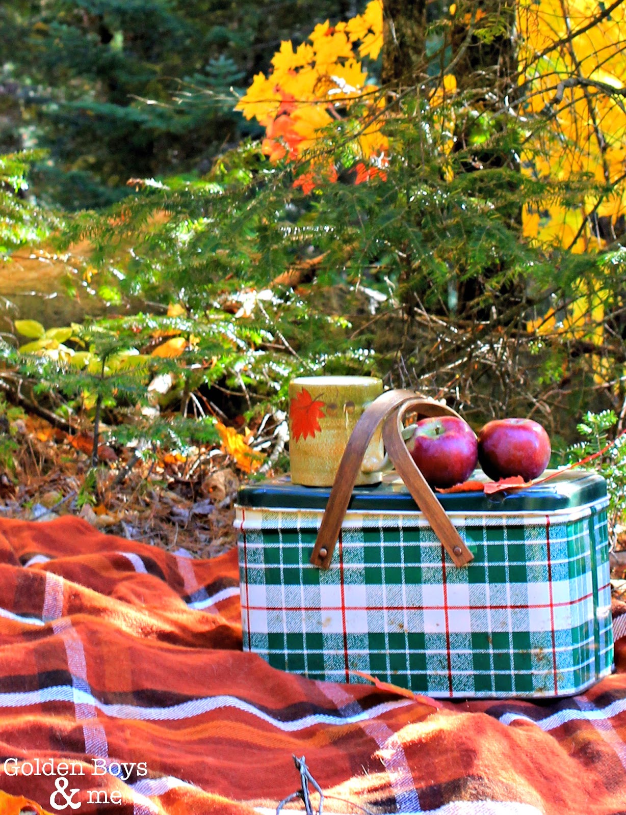 An Autumn Picnic | Golden Boys & Me