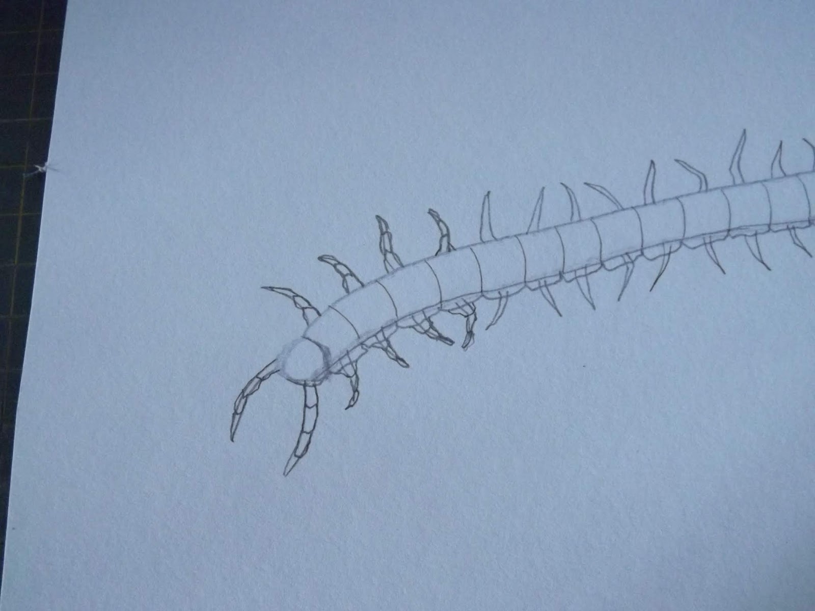 A Pretty Talent Blog: How to draw: A Centipede