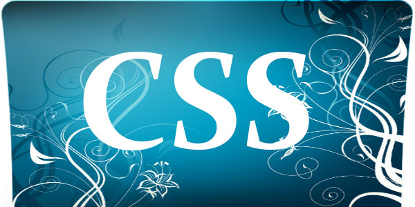 Css3 Tutorial In Urdu Courses Available In Dvds