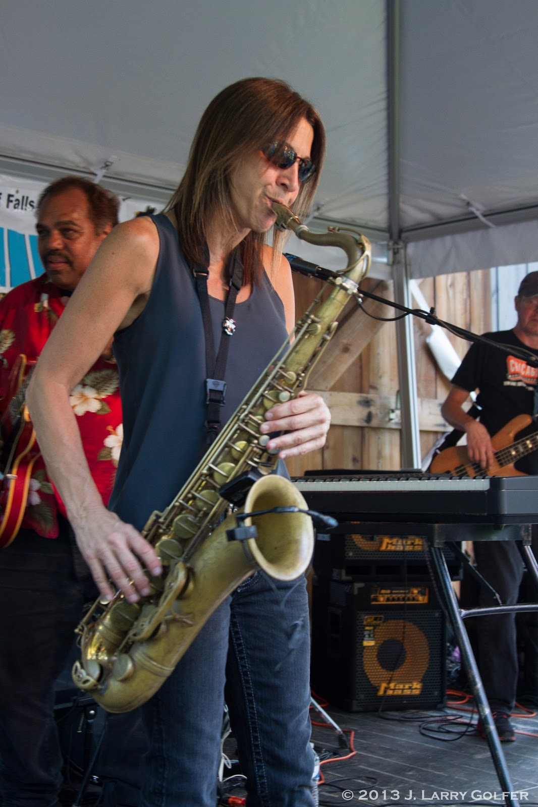 Great Blues Music in Falls Church: The Tinner Hill Festival
