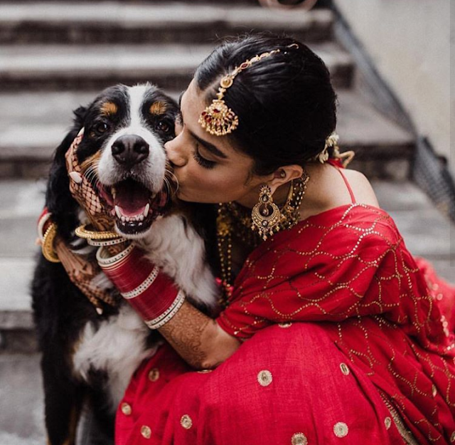 Beautiful Bride Photo shoot With Dogs/Indian Brides With Their Lovely ...