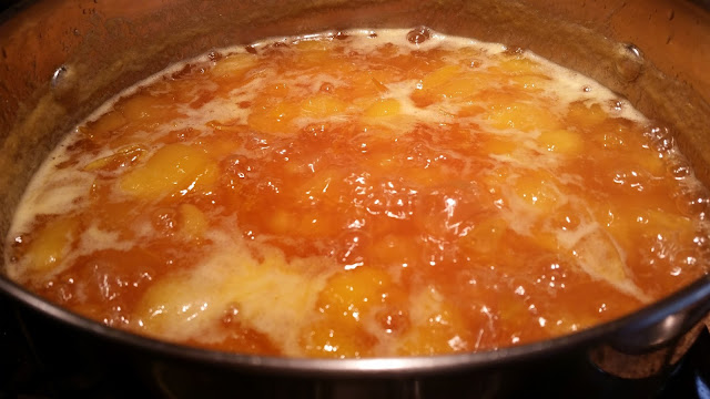 Yellow Orbs of Summer Bliss - Yellow Plum Jam