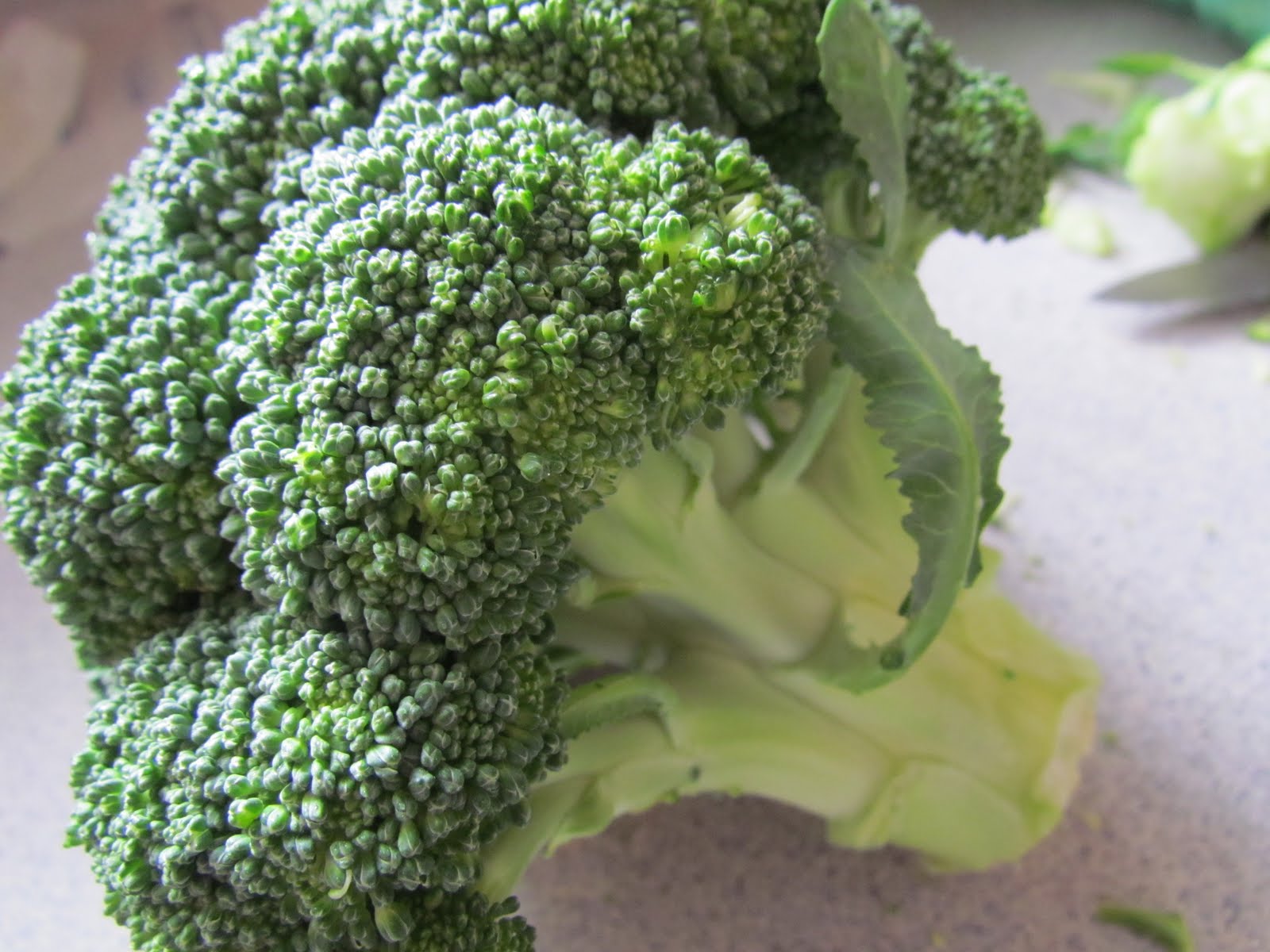 Vin de Pêche: September 2011