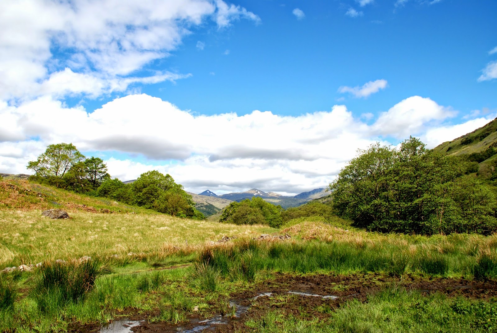 Walking the West Highland Way: Inversnaid - Inverarnan - Crianlarich