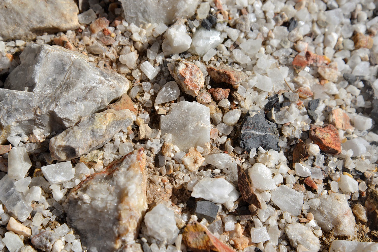 A school of fish: Calcite Mine Field Trip