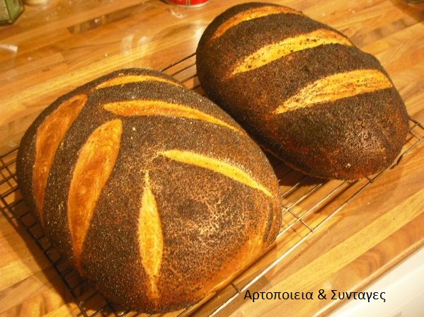 Αρτοποιεια & Συνταγες: ΨΩΜΙ ΜΕ ΠΑΠΑΡΟΥΝΟΣΠΟΡΟ