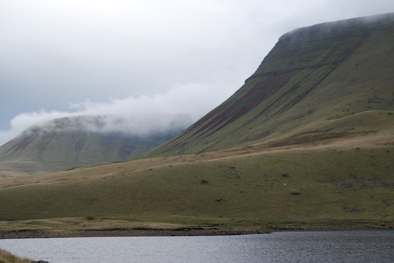 Jam Packed : JamFactory Studios . Galleries . Shops: Q&A with Artist In ...