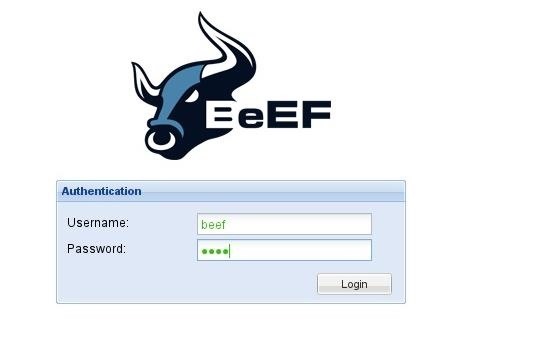 GUIDE LIBRARY: EXPLOIT XSS VULNERABILITIES USING BeEF