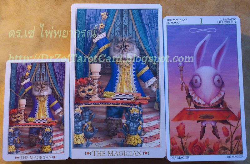 Bohemian Cats' Tarot: Mini Deck Review - 3 | ดร.เซ่ ไพ่พยากรณ์