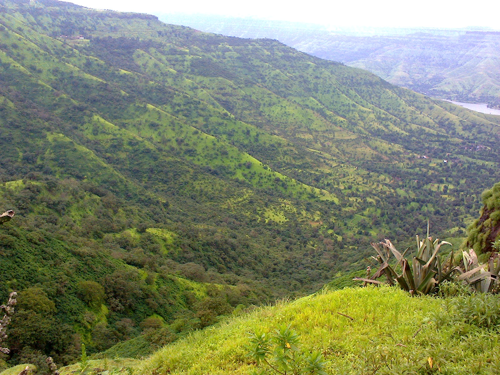 Yash Gaikwad - BHATKANTI: Fort Kamalgad