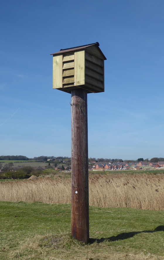 Action for Swifts: A Swift tower at The Avenue Washlands