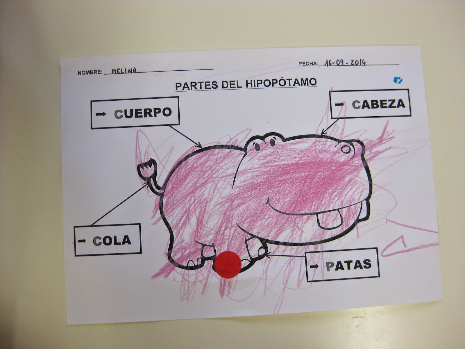 Trabajando con personitas: ¿Cómo son los Hipopótamos?