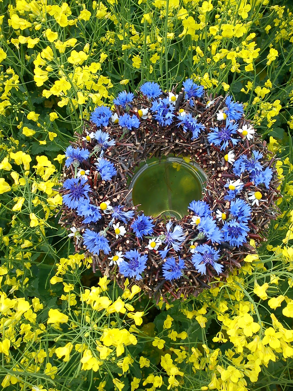 Glad Midsommar : Glad Midsommar/Happy Midsummer! - Colmis Proving ...