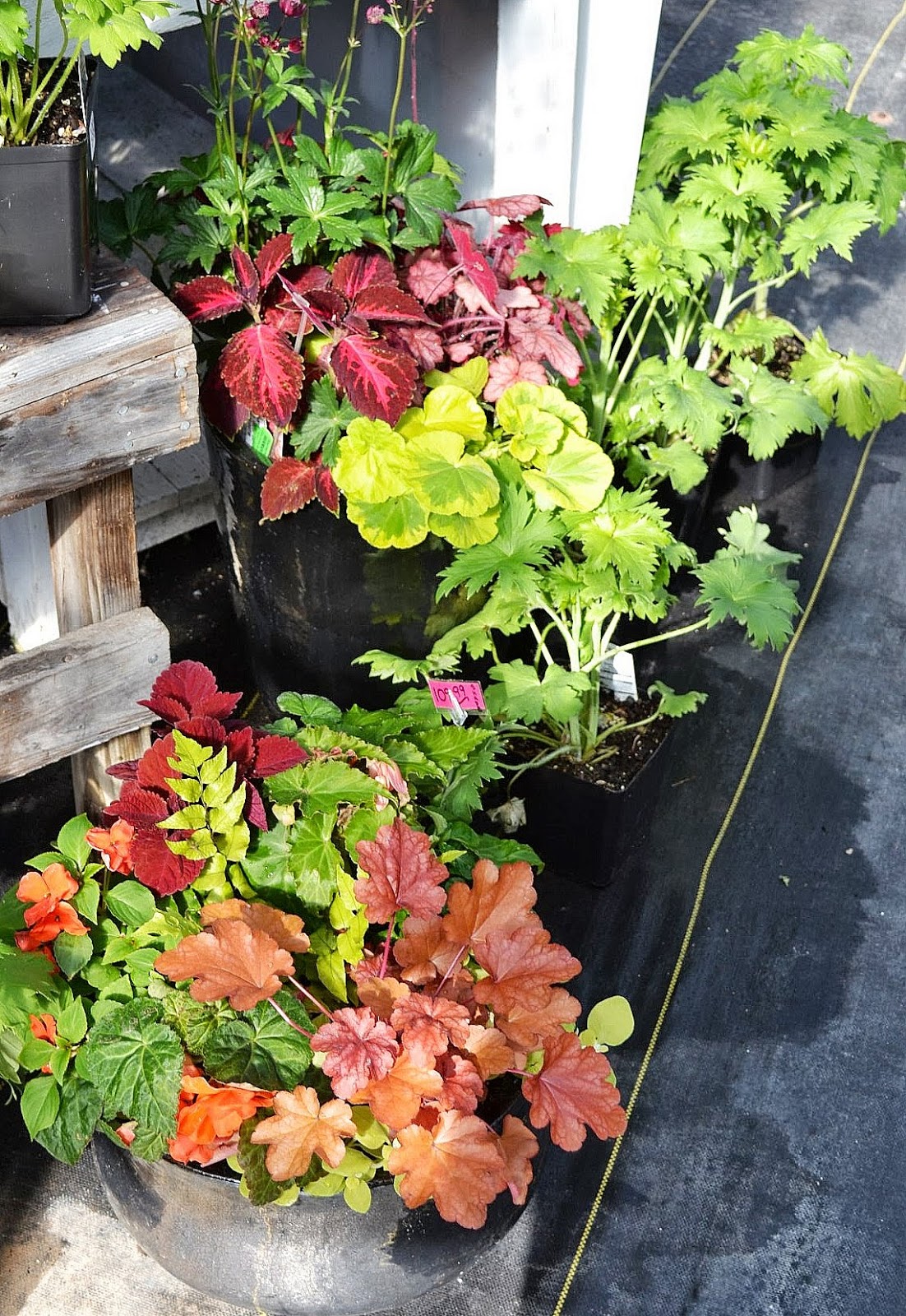 The Outlaw Gardener: Visiting Willow Tree Gardens and Interiors