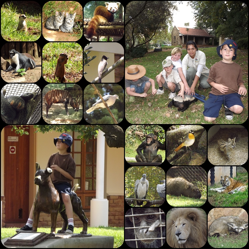 Every Bed of Roses: A day at Johannesburg Zoo