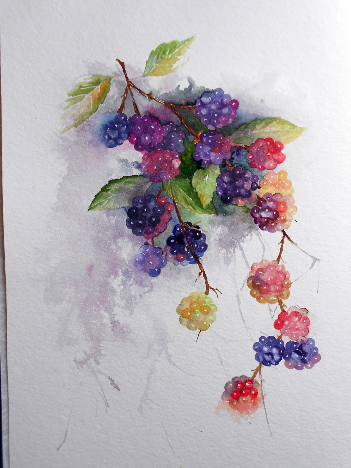 Watercolour Florals: Blackberries Again