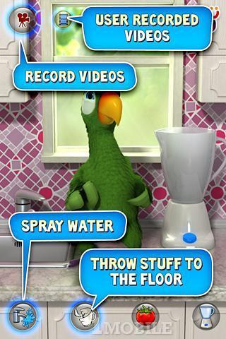 Kiwi's Angels: Talking Pierre the Parrot