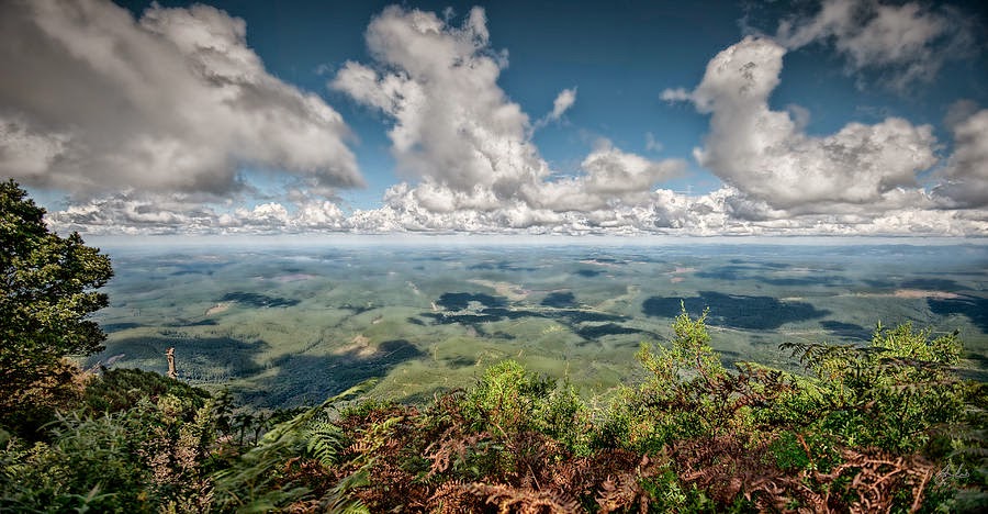 THE WELLNESS TRAIL : GOD's WINDOW & Graskop Hotel