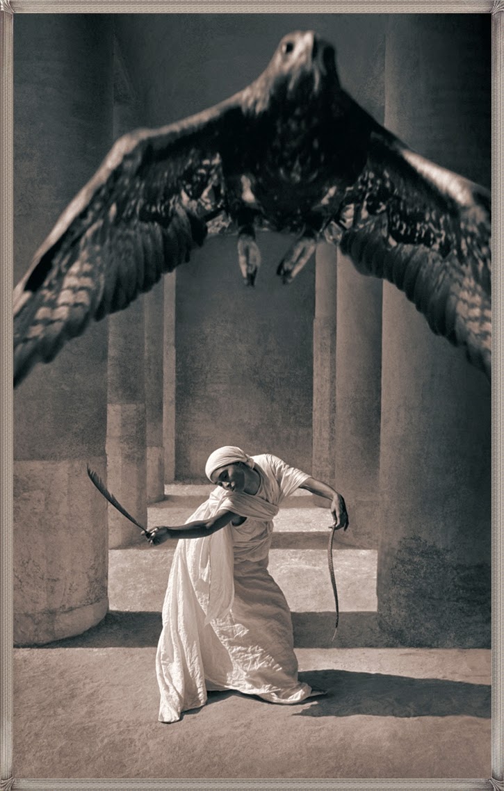 Ostáriz Art Gallery: Gregory Colbert