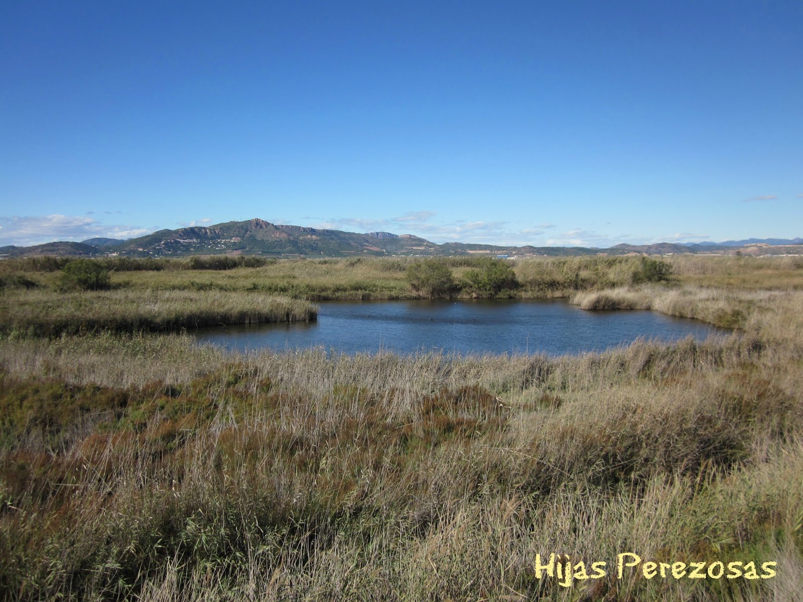 Me he metido en un jardín...: La Marjal dels Moros