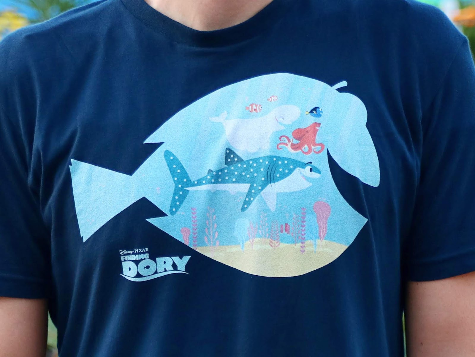 Dan the Pixar Fan: Finding Dory: "Fish Frame" Men's Tee (Fifth Sun)