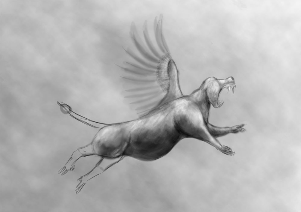 Skills Audit: A small, plump, flying creature...