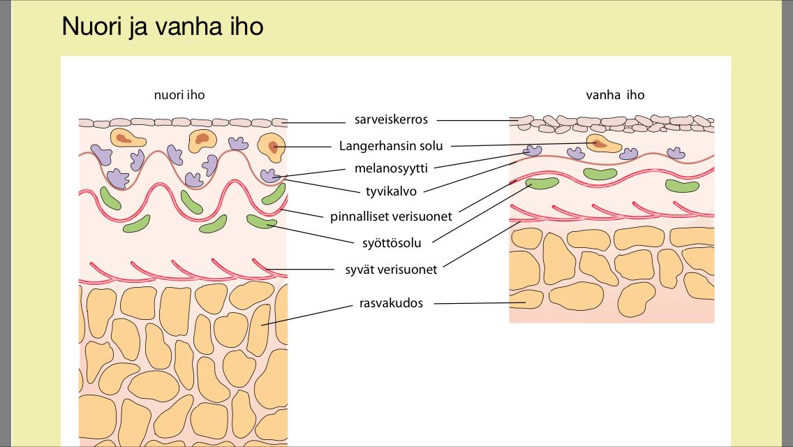 All That Beauty..: Ikääntyvän ihon hoito...