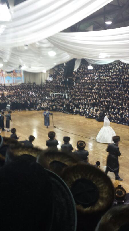 T.O.T. Private consulting services: Bobov 48 Wedding