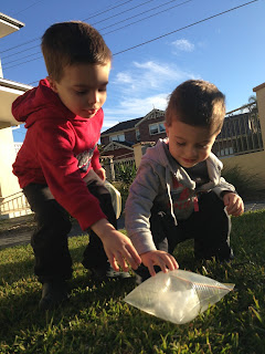 Science Monday! Science Experiments for young kids: Exploding Lunch Bag