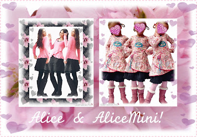 allerlieblichst bloggt.......: Alice Mini!