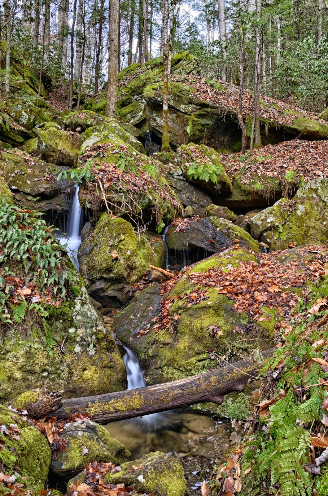 Backpack and Beer: Douglas Trail