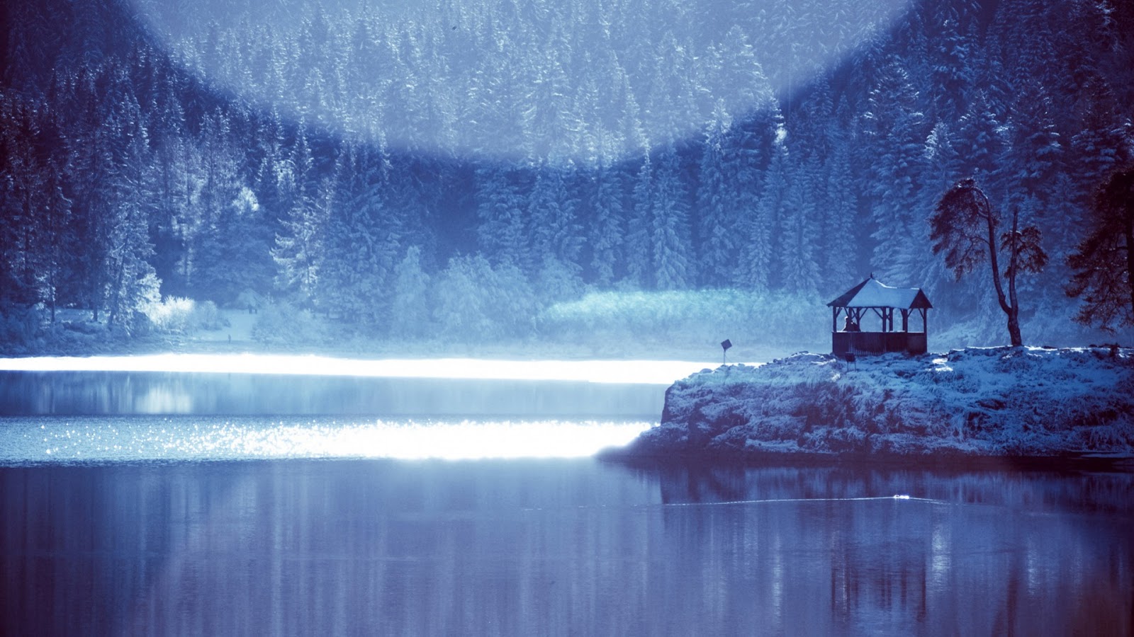 Fondo de Pantalla Paisajes Bosque nevado | Fondo Pantalla Online