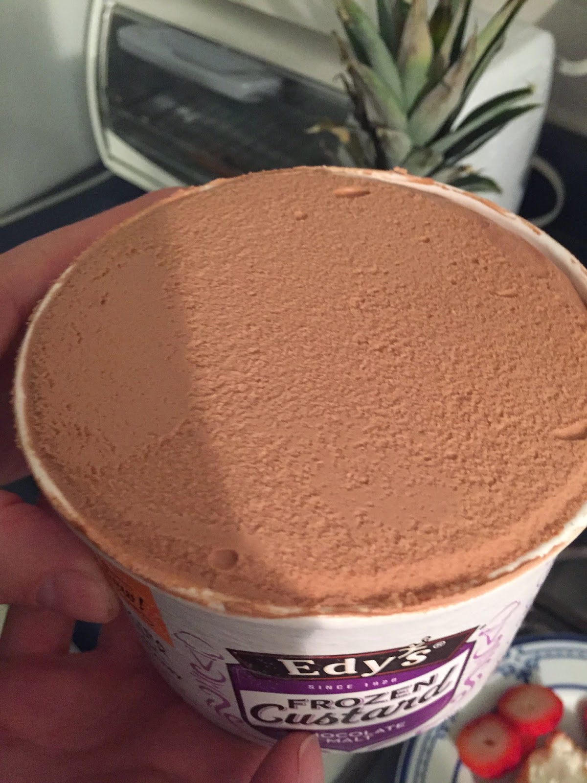 Edy's Chocolate Malt Frozen Custard