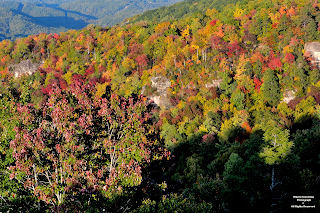 The High Knob Landform: Beauty Of Autumn 2015 In High Knob Massif