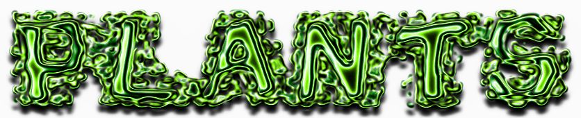 Text Effect Tutorials: TUTORIAL: making a text of plants