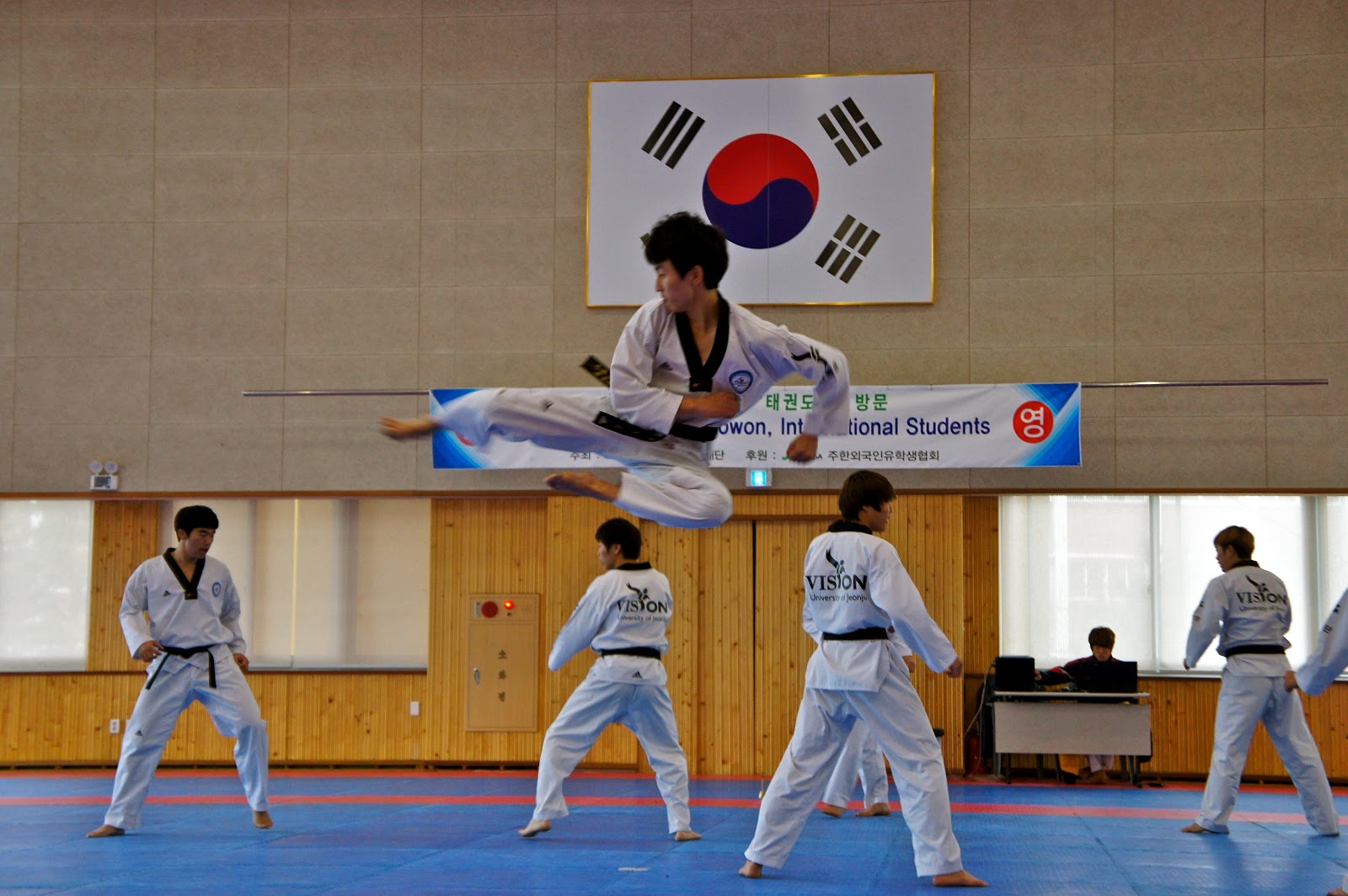Muju Taekwondowon Promotion Tour! - Vikingess Voyages