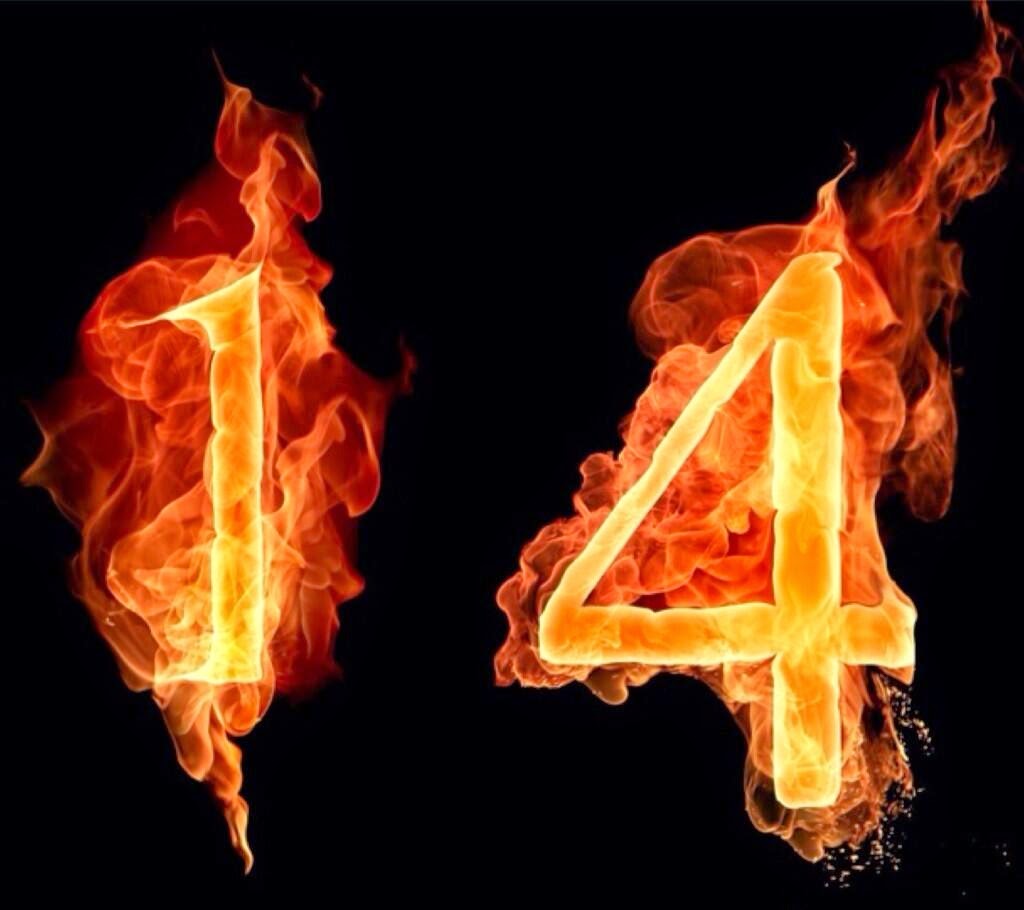 The Daily Avalanche: 14