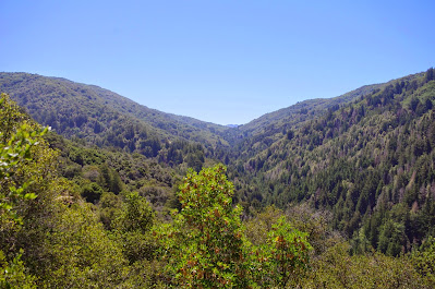 Earth's Internet & Natural Networking: Palo Colorado Canyon Rd, Big Sur ...