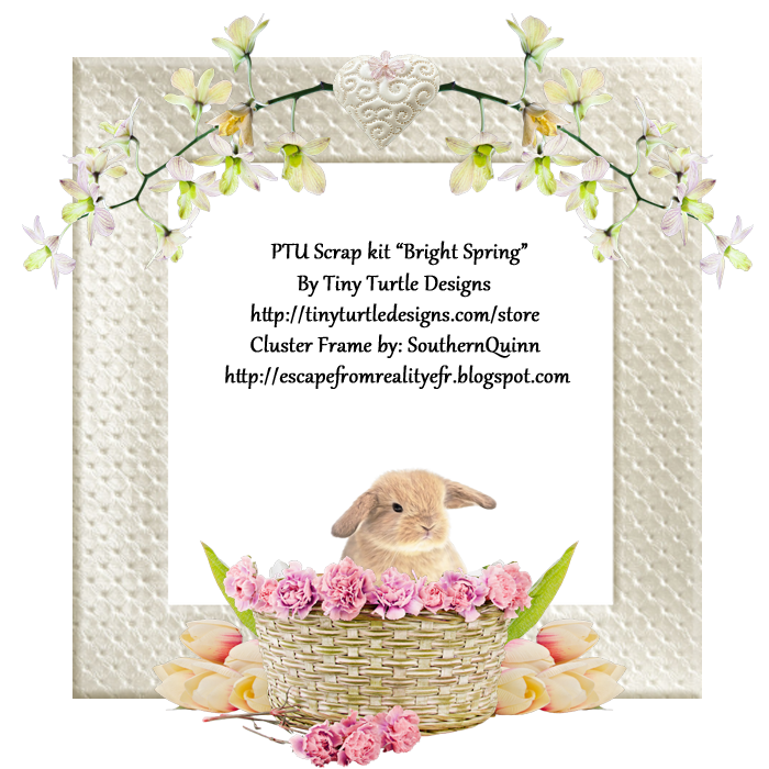 Escape From Reality Blog: FTU 'Spring Time' Cluster & Cluster Frames