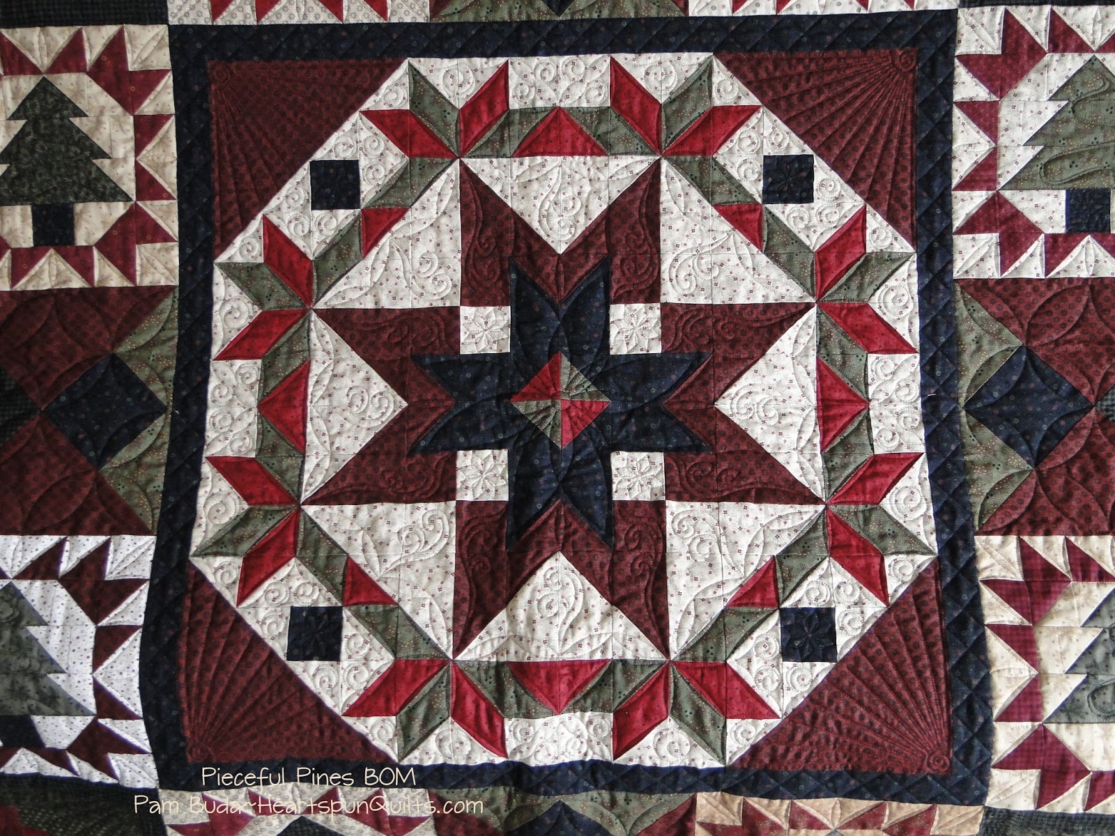 Heartspun Quilts ~ Pam Buda: Pieceful Pines Quilted