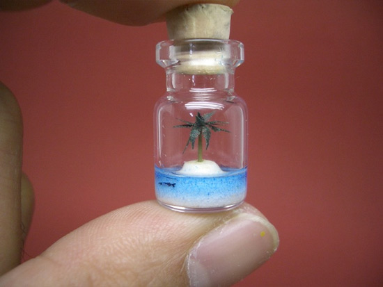 Mini-Worlds In Jars | Pictures