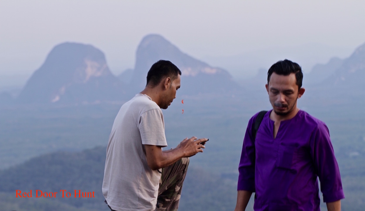 RED Door To Hunt: Beruk Kentoi~Macaca arctoides~Stump tailed Macaque