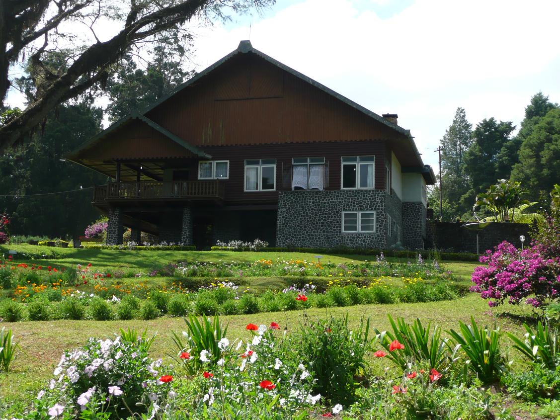 Kebun Kopi Kawah Ijen Bondowoso | Wisata Kopi Indonesia