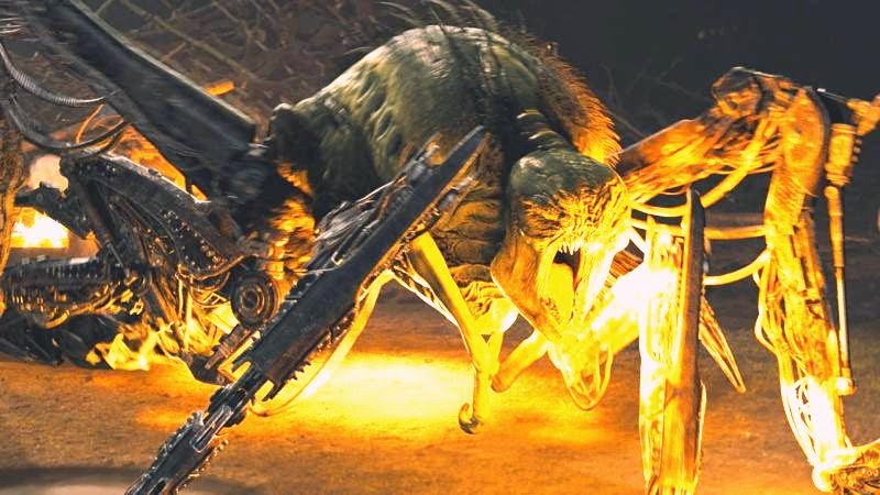 ASliceOfKate : The Maze Runner Book To Movie