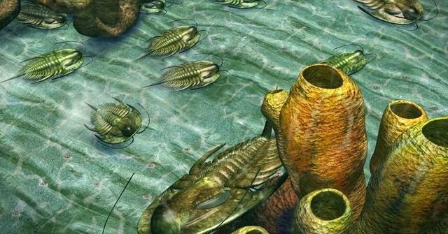 Mundo Pré-Histórico: Trilobitas (Trilobita)