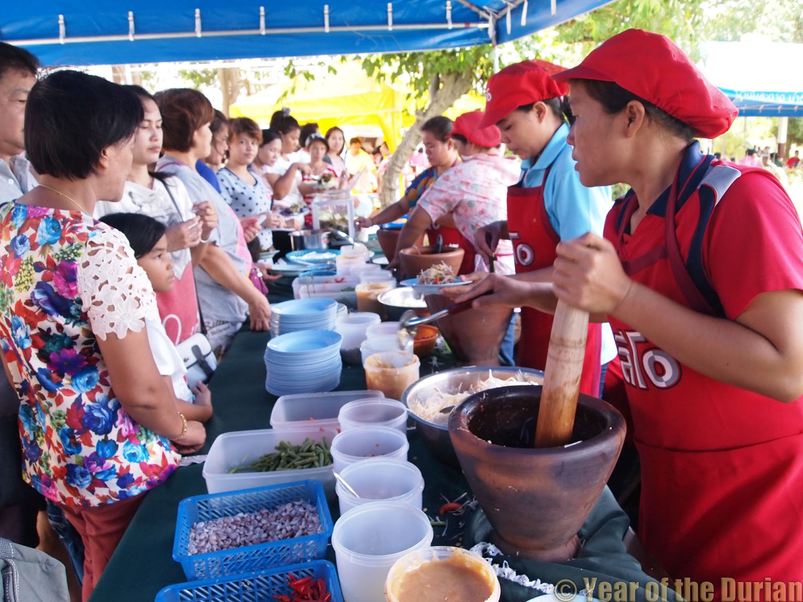 Supatra Land Fruit Theme Park | Photo Essay