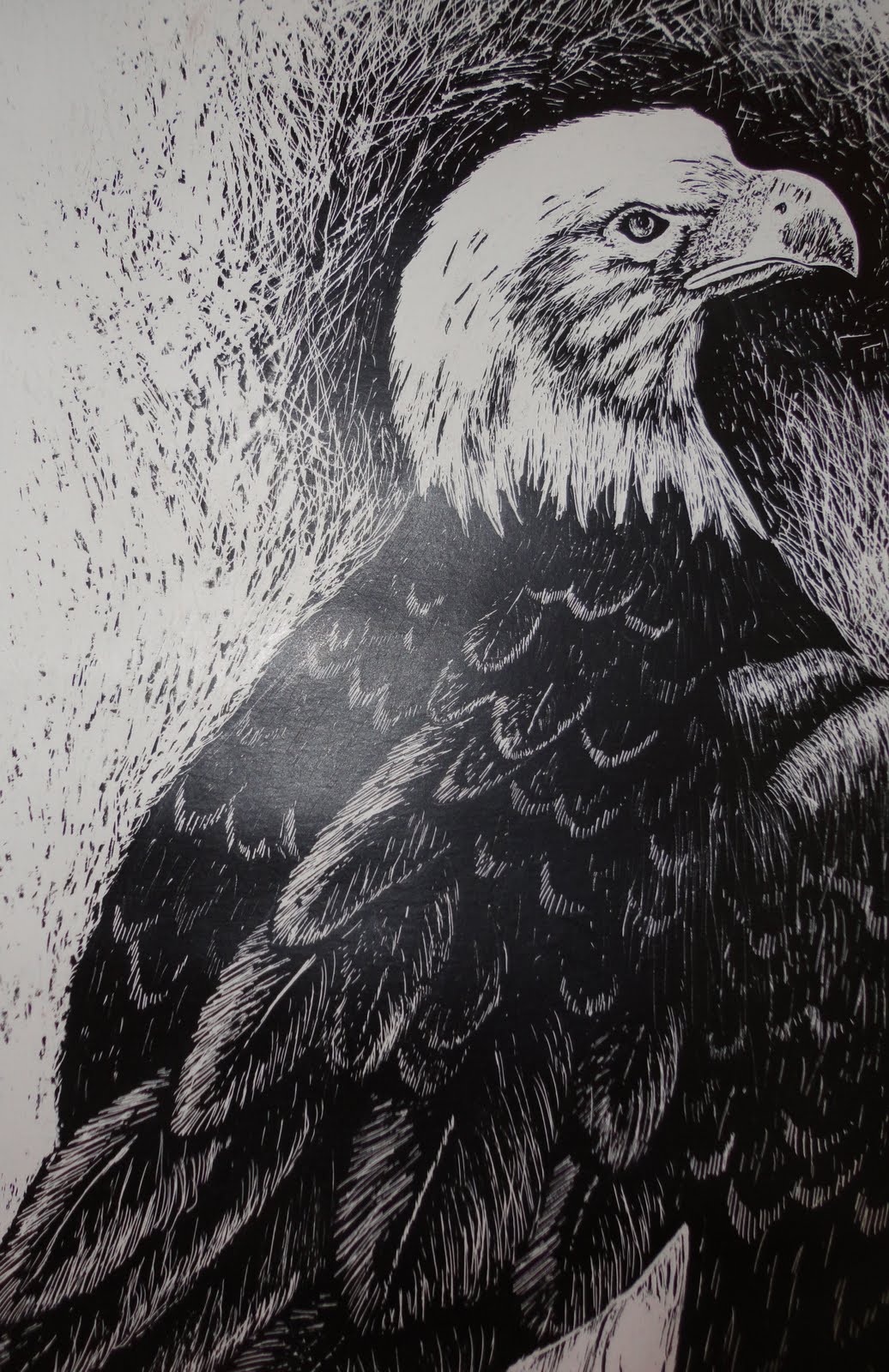 Art Mash: SCRATCHBOARD