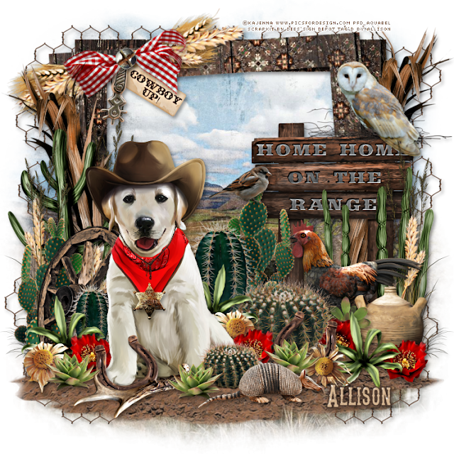 Allison's Addictions: CT Tag Show Off - Dees'Sign Depot - Rocky Ridge Ranch