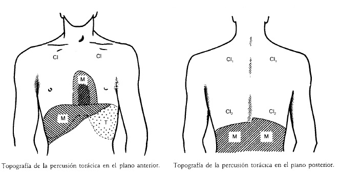 Luis Rafael Pérez Estrella (2-09-0755): Examen del tórax y pulmones