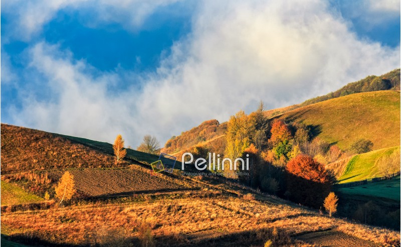 Pellinni Photography: New Autumn Content